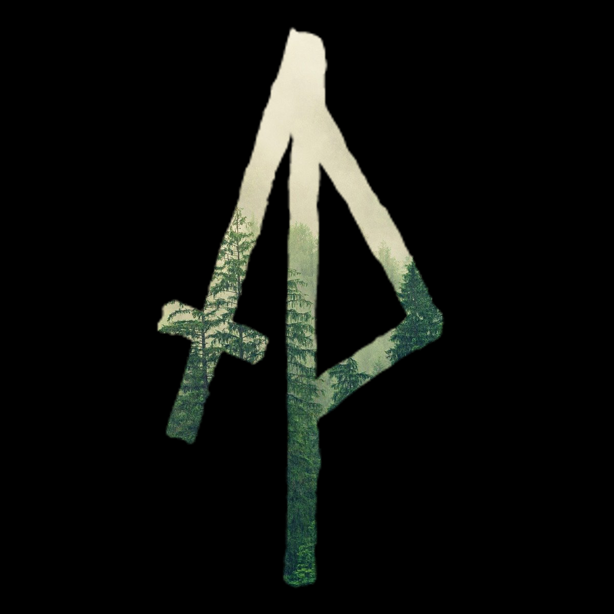 Apache Pine – Western Arms